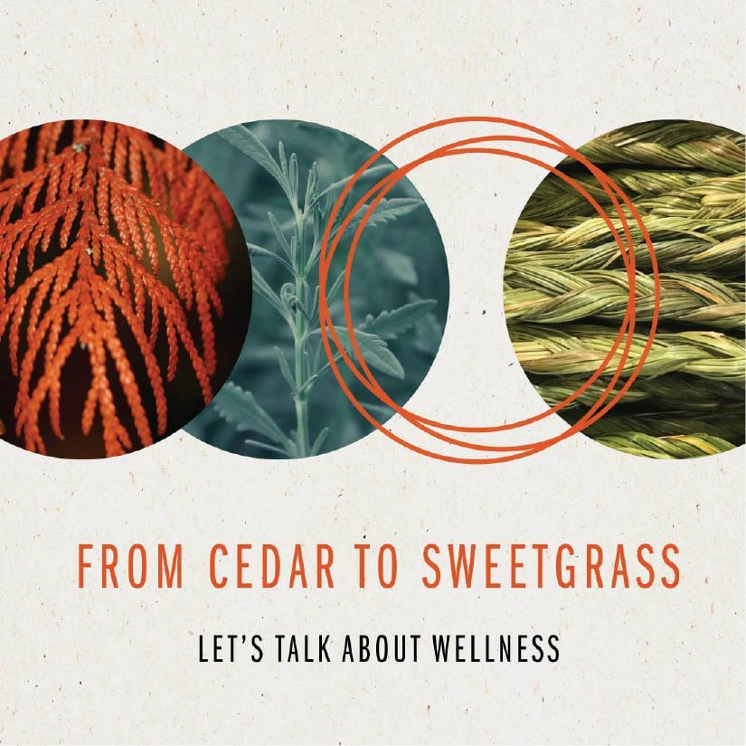 From Cedar to Sweetgrass: Indigenous Wellness - The Daily Scan