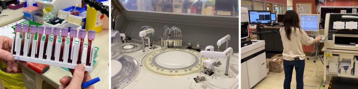 The journey of a blood sample - The Daily Scan