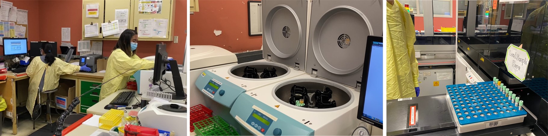 The journey of a blood sample - The Daily Scan