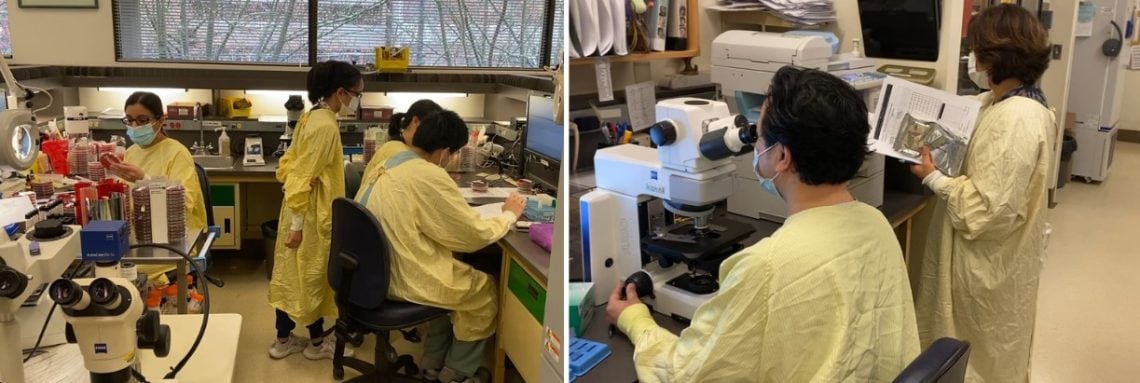 Behind the scenes at the hospital laboratory - The Daily Scan