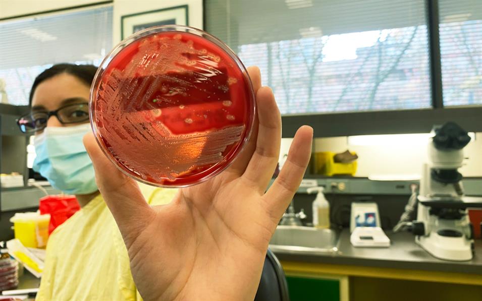 Behind the scenes at the hospital laboratory - The Daily Scan