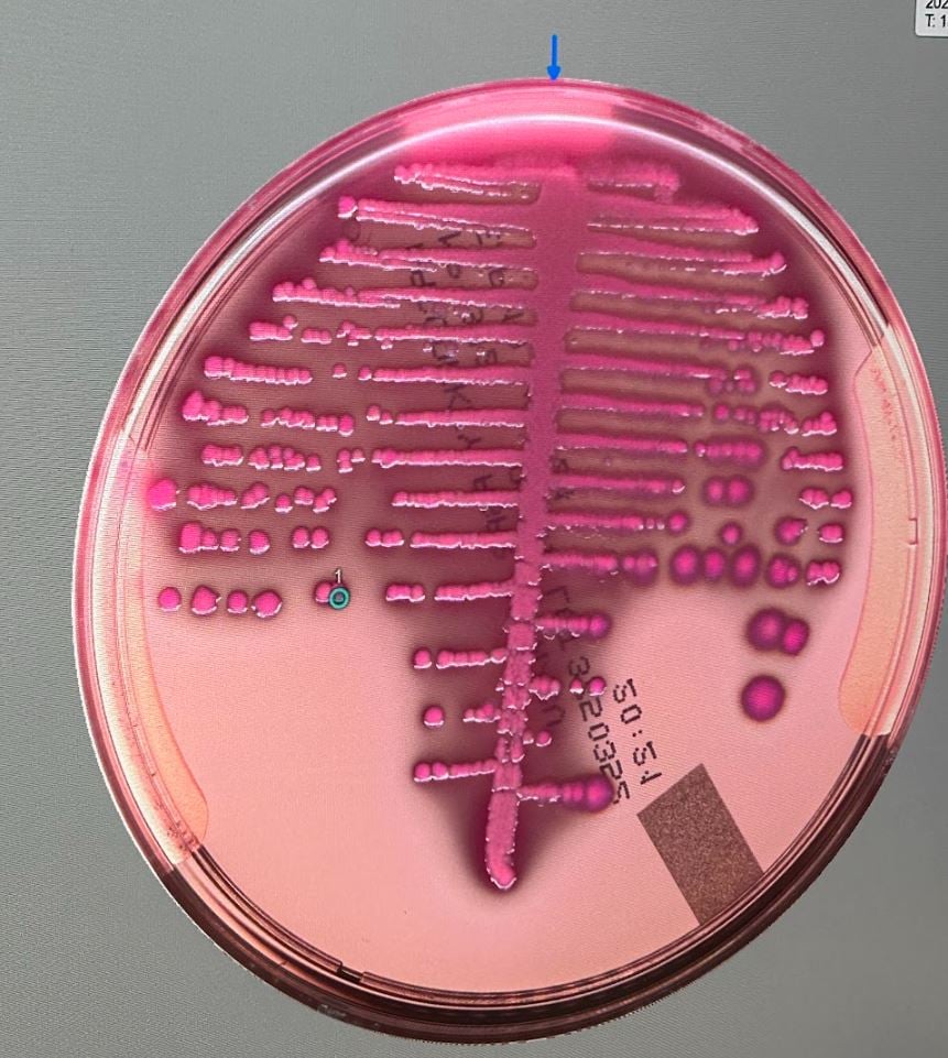 A Western Canadian first: new automated AI-based lab system to ...