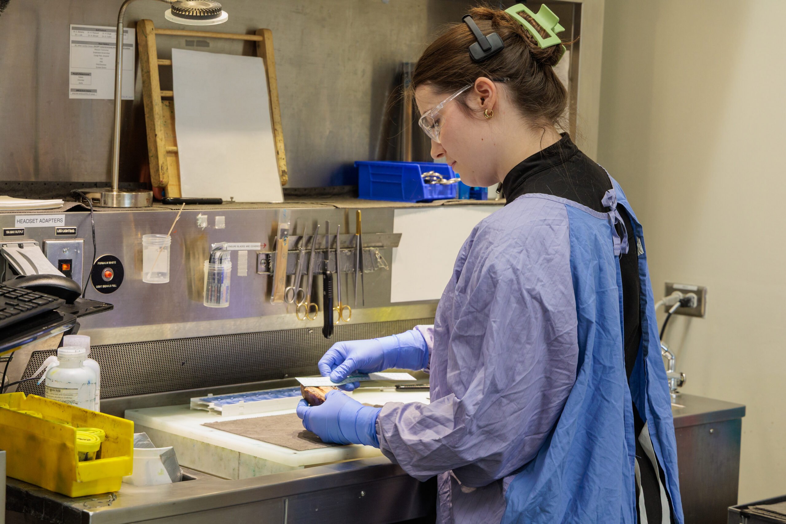 A behind-the-scenes look at anatomic pathology - The Daily Scan