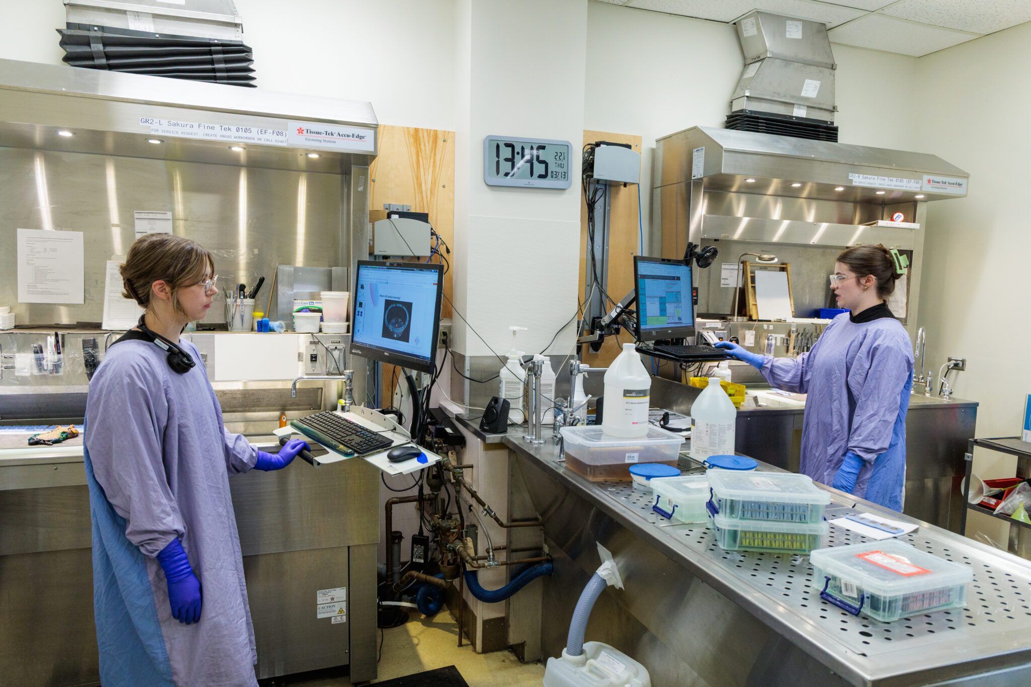 A behind-the-scenes look at anatomic pathology - The Daily Scan