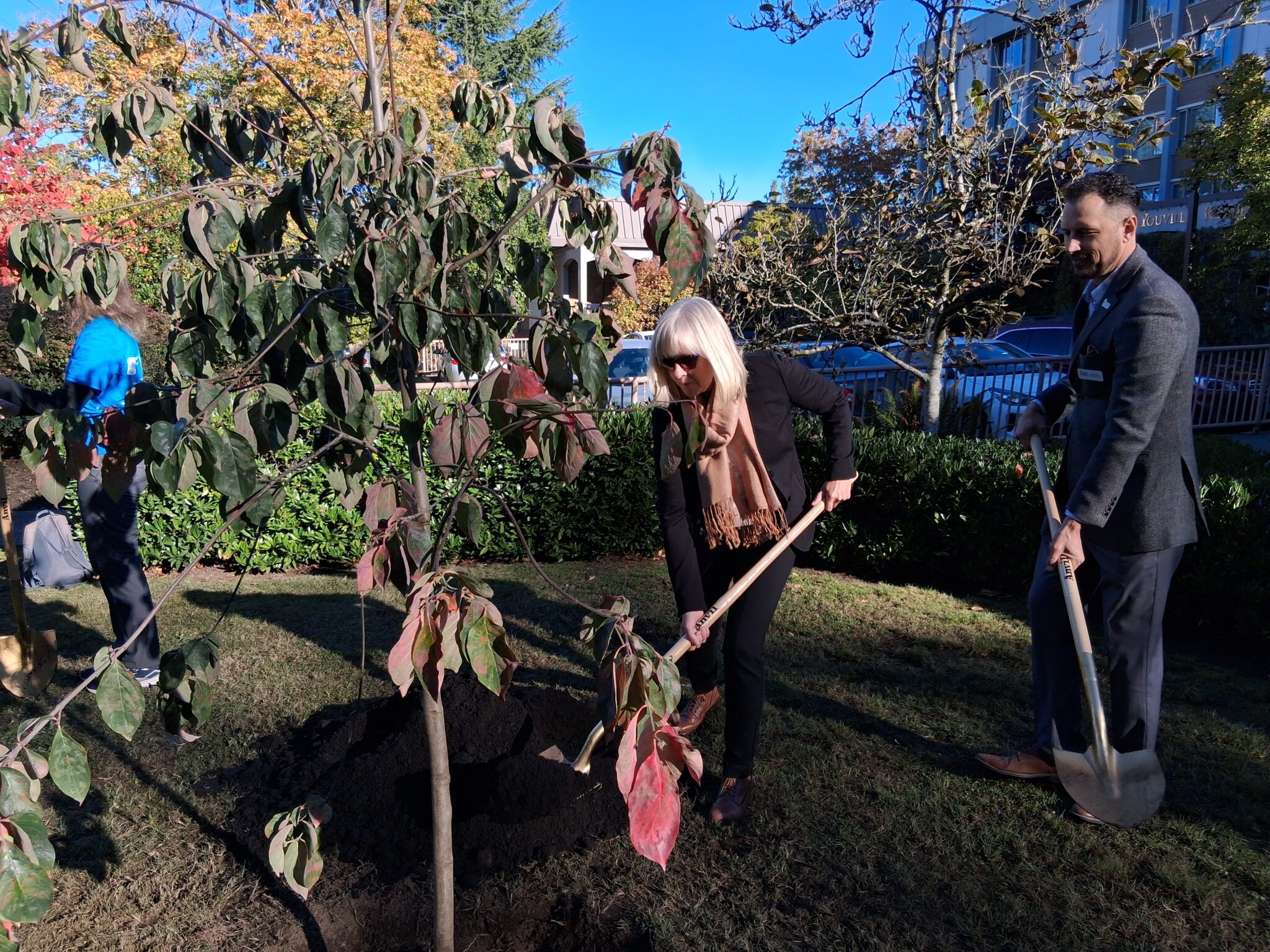 Trees for Health: A living thank you at Providence sites - The Daily Scan